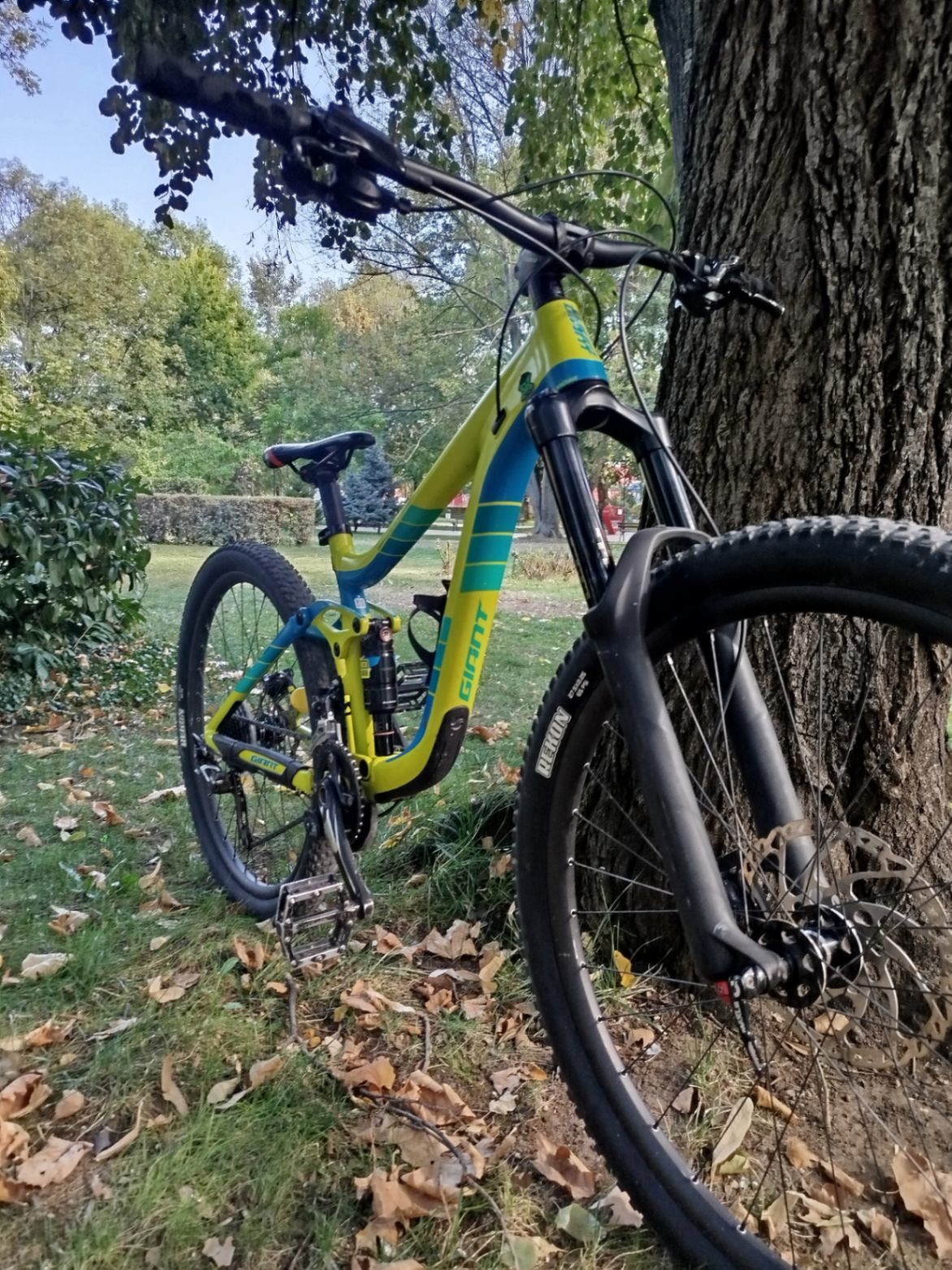 Giant Reign 2 | Купи в Nameri.Bike